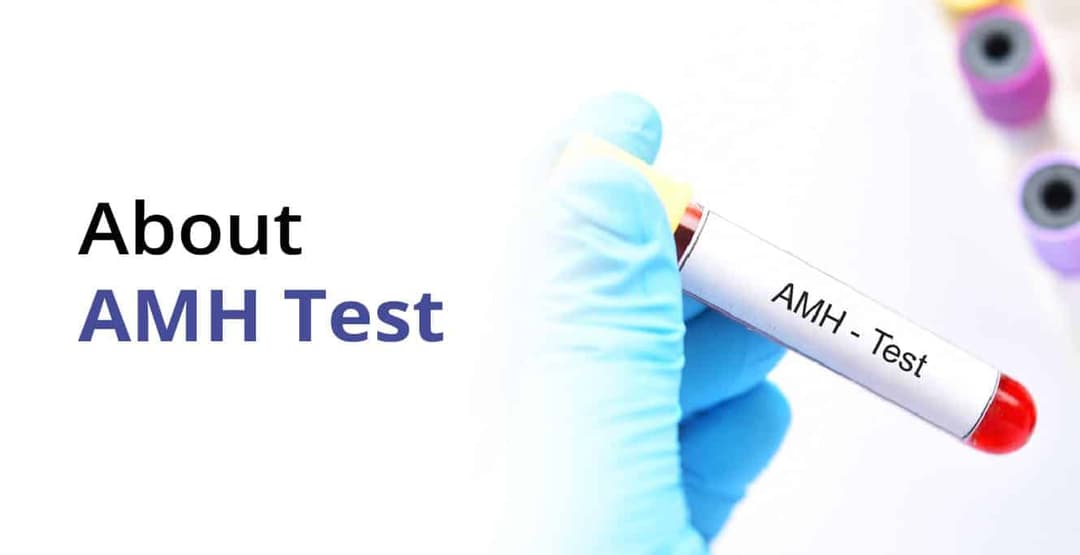 Anti Müllerian Hormone Test: Purpose, Levels & Results